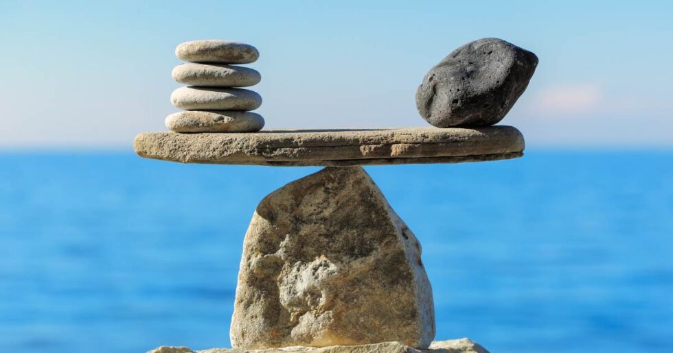 What is a risk profile